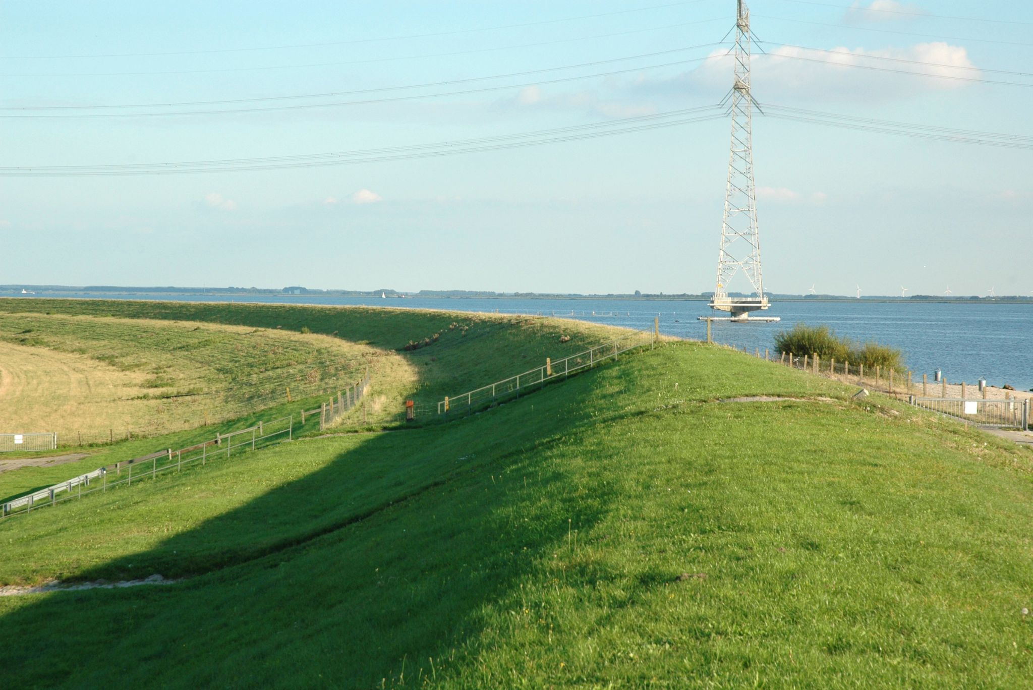 How Does the Formation of a Natural Levee Impact Flooding?