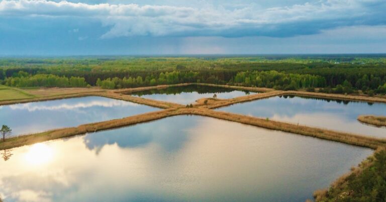 How to Stop Erosion on River Banks with Natural Materials