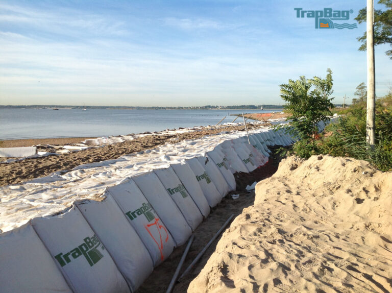 How to Save Sand Dunes from Erosion | Coastal Protection Tips