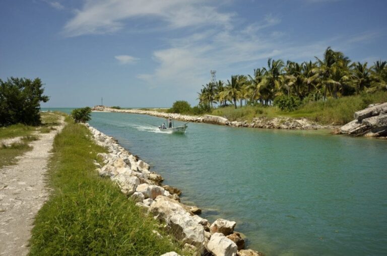 How to Stop Erosion on River Banks with Natural Materials